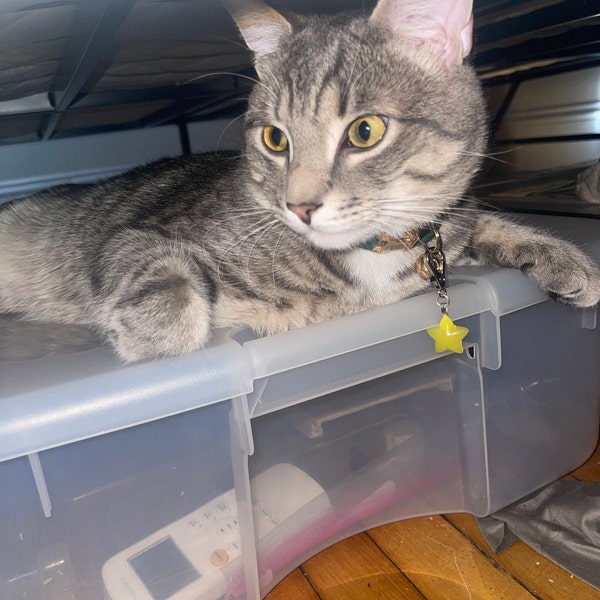 Josh Compass Necklace Viking Norse Rustic Manly Pendant Necklace ...