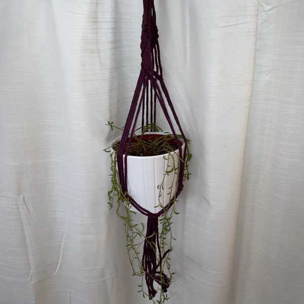AIR PLANT | Macramé Mini Wall Hanger | Houseplant Hanging Planter ...