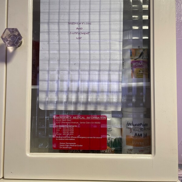 Color Portfolio Book - TUFTEX, Sempertex, Kalisan, Gemar Balloons - Etsy