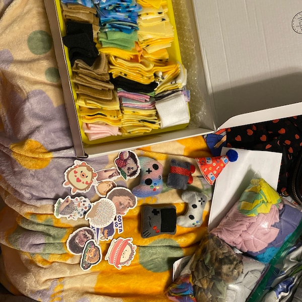 Hedgehog Dig Box Forage Enrichment Activity Cage Clutter Hedgie Toy - Etsy