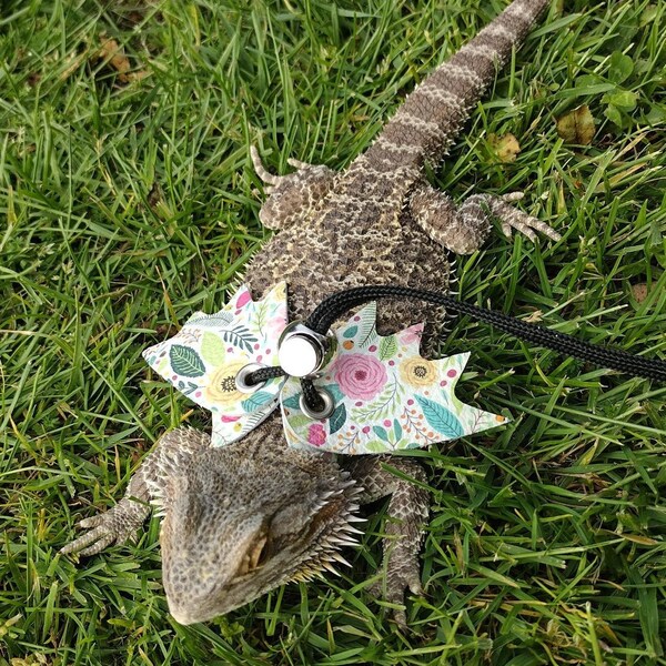 Leather Lizard Harness--spring Fling With Wings - Etsy