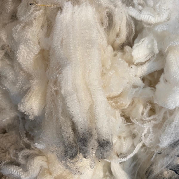 White Merino, 1 Kg (2.2 Lb) of 10-12 Cm Raw Wool Staples R Handed Pick ...