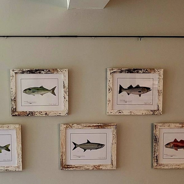Redfish Open Edition Print by Flick Ford, Southern Gamefish, Gulf Coast ...