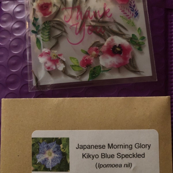 Love Parade Yarrow | Achillea Sibirica Var. Camtschatica | Lovely ...