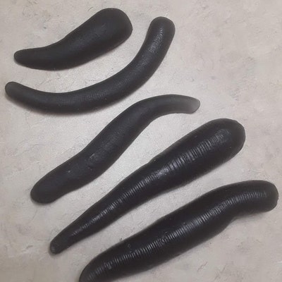 Larp Safe Rubber Leeches, Larp Medic, 5 Pack, Leach Healer, Plague ...