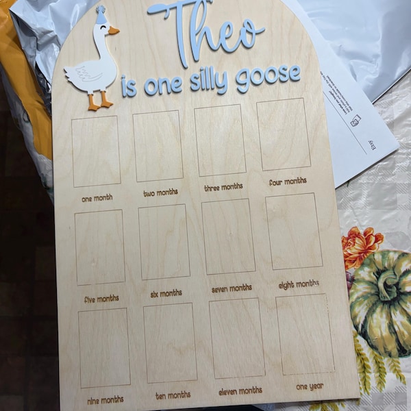 Personalized One Silly Goose 1st Birthday Photo Board - Multiple Sizes ...