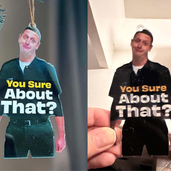 Tim Robinson on a Zipline Meme Car Air Freshener - Etsy