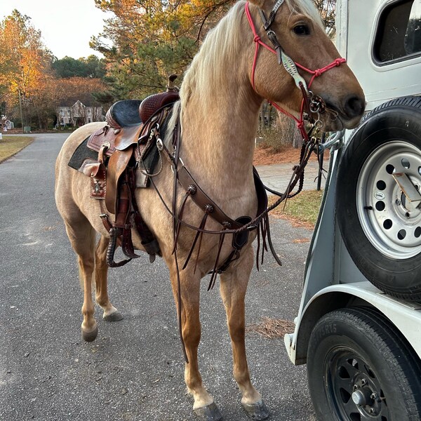 Belt Style White Buckstitch- Split Ear Headstall - Western Headstall ...