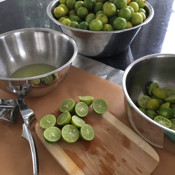 10lbs Fresh Seeded Key Lime Non-gmo / Free Shipping - Etsy