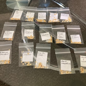 Primo X Butch T Orange Pepper Seeds - Etsy