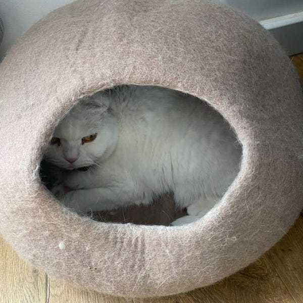 50cm Handmade Wool Cat Cocoon Bed / Cozy Cat Cave House - Etsy