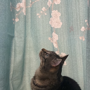 Japanese Shoji Screen Noren Curtain With - Etsy