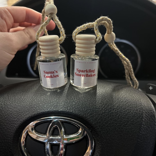 Citrus Car Diffuser Hanging Car Freshener Oil Diffuser for Car ...