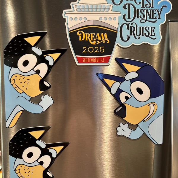 Disney Inspired Princess Side Door Magnet for Disney Cruise Door, Elsa ...