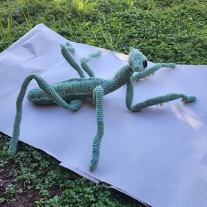 Praying Mantis Crochet Pattern - Etsy