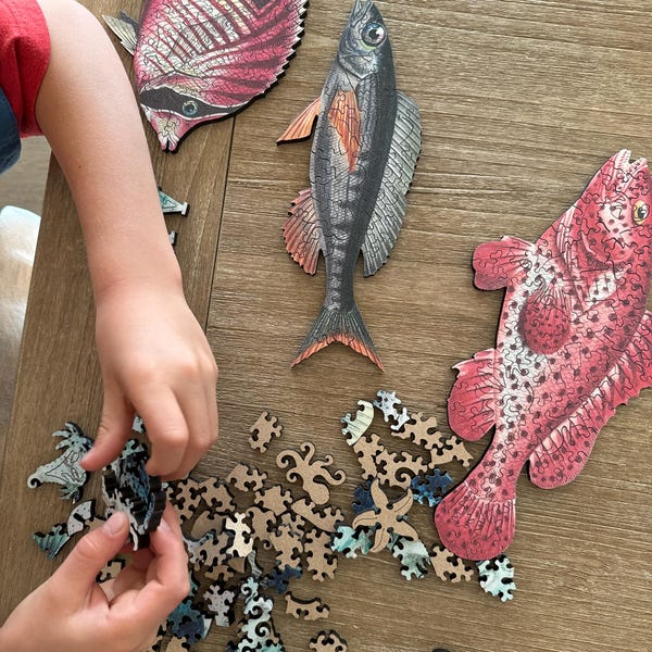 Unicorn Rests Jigsaw Puzzle for Adults Unicorn Tapistries Artwork ...