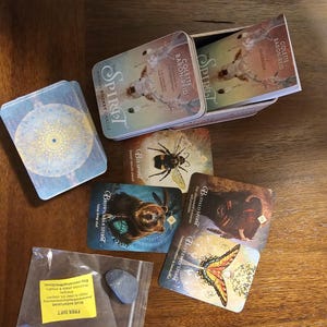 Earthly Souls & Spirits MOON ORACLE Deck Cards and Guidebook by Terri ...