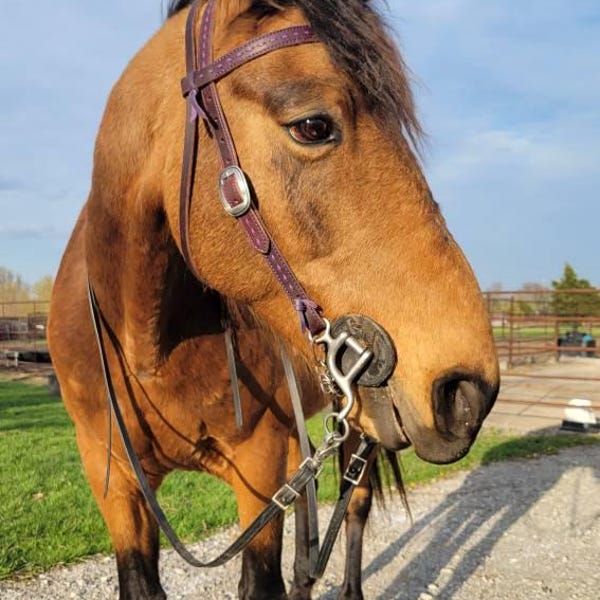 Custom Handmade PINK Bridle Leather Buckstitched Split Ear Headstall - Etsy