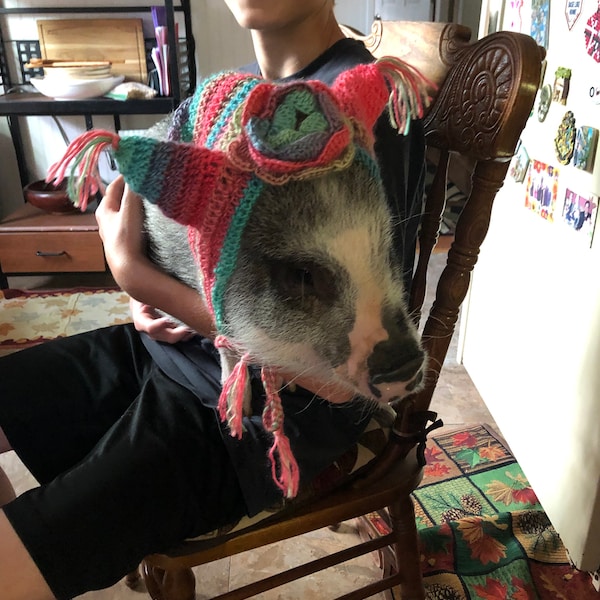 Pig Hat - as in Hat for Your Pig Piggie Piglet Mini Pig Custom Sized ...