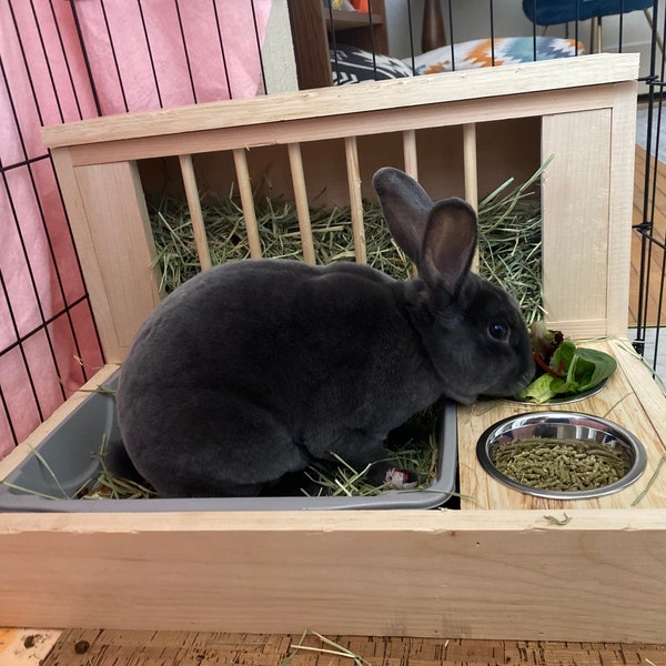 Extra Small W/ Side Bowls - Hop Box: Rabbit Bunny Hay Feeder and Litter ...