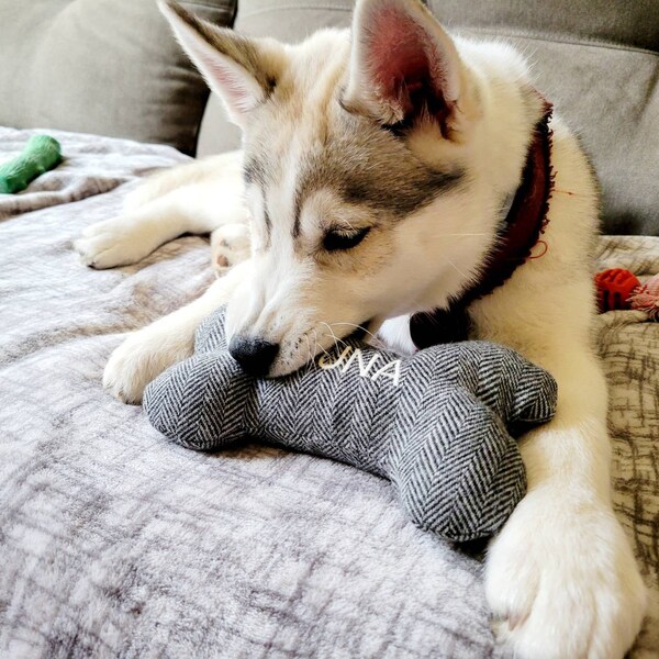 Dog Toy. Personalized Pet Toy With Embroidered Name. Durable Dog Toys ...