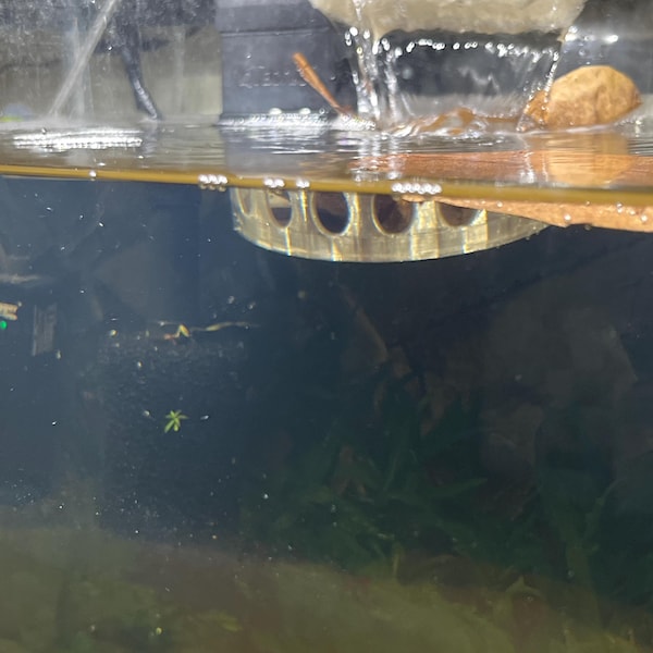 Aquarium Floating Plant Blocker. Aquarium Filter Corral. HOB System ...