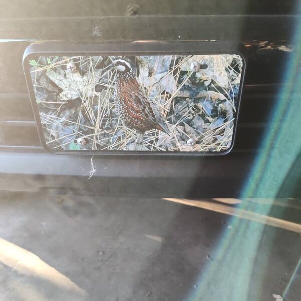 Flying Mallard License Plate, Duck Hunting License Plate, Duck Hunter ...