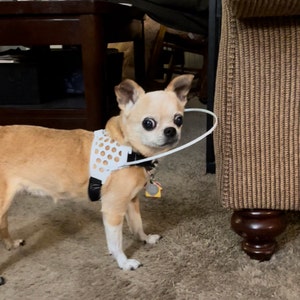 Fitted Bellus3d 3d Printed Masks - Etsy