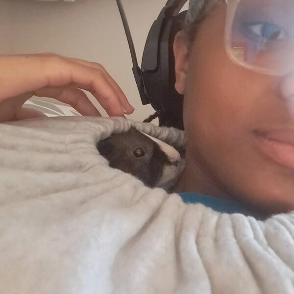 Ratoob, Real Red - Etsy