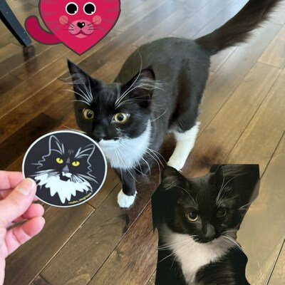 Tuxedo Cat Sticker - Etsy