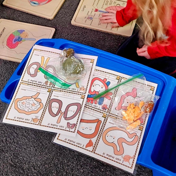 Human Organs Play Dough Mats Fine Motor Skills Preschool Printables ...