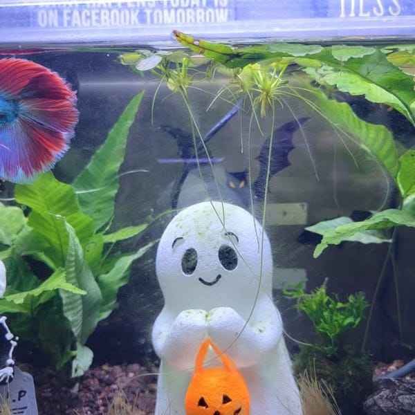 Finnex Stingray Original LED Light Riser, Attractive Stable Elevated ...