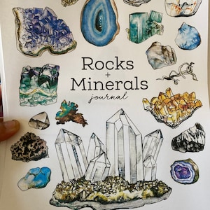 Winter Learning Bundle Unit Study, Nature Study, Charlotte Mason - Etsy