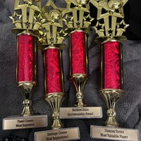 Gold Star Trophy. Perfect for Any Event, Contest, Pageant or Just for ...