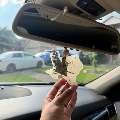 Pumpkin Air Freshener Fall Freshie/ Halloween Freshie,free Shipping - Etsy