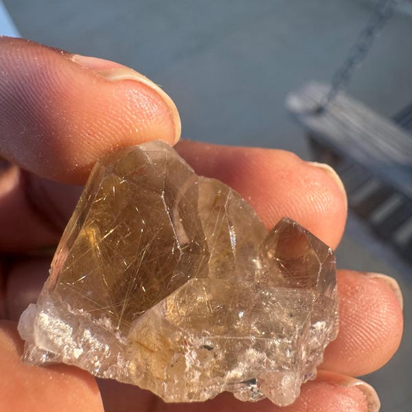 Fossilized Dino Dung COPROLITE Collected in Wyoming 1/3 of a Pound 145 ...