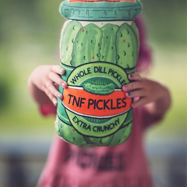 Pickle Jar Couch Pillow, Pickle Plush Set, Pickle Home Decor, Dill ...