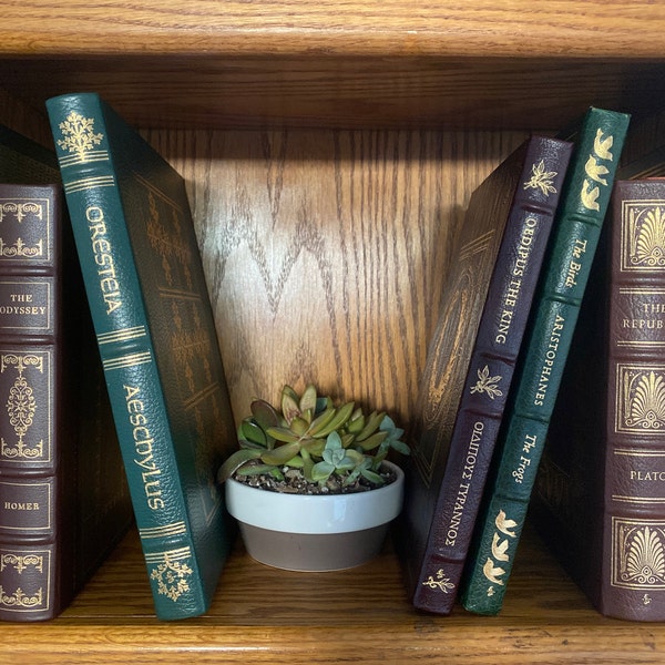 Cast Iron Cocker Spaniel Puppy Figurine, Slight Patina Finish, Adoring ...