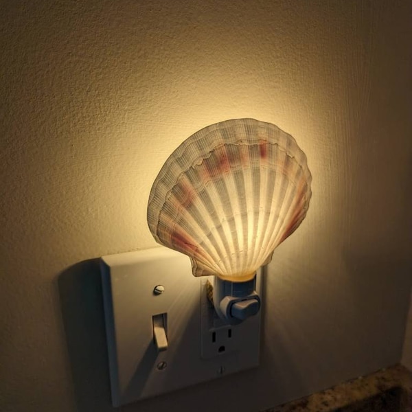 IMPERFECT SCALLOP Sea Shell NIGHTLIGHT - Etsy