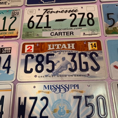 Set of 15 Colorful/graphic License Plates From 15 Different States - Etsy