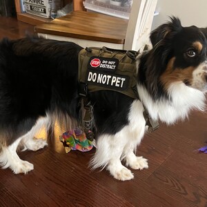 Banana Bandit Patch 2 Inch Diameter Embroidered Patch - Etsy