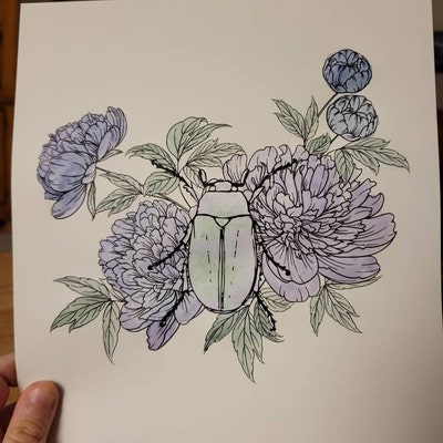Aquarius June Bug Coloring Page 8.5x11 PAGE ONLY - Etsy