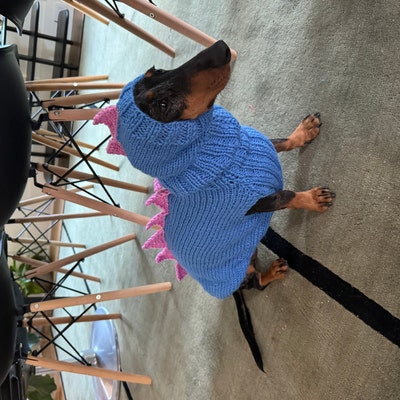 Warm Coat for Wiener Dog, Miniature Dachshund Knitted Jumper, Dachshund ...