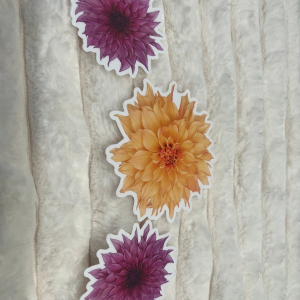 Bee Happy Dahlia Mix - Farm Grown, Open Pollinated Seed in a Happy Mix ...