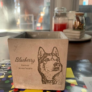 Boho Vintage Cat Tail Woven Plant Stand - Etsy