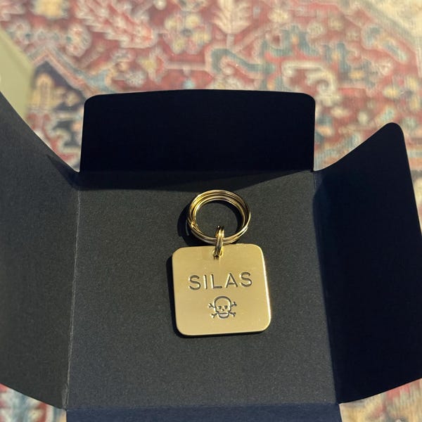 Dog Tag, Square Dog Tag, Brass Dog Tag, Pet ID Tags, Personalized Dog ...