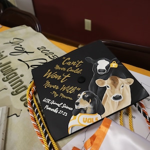 Hand Painted Graduation Cap Topper Customized Graduation Cap Topper ...