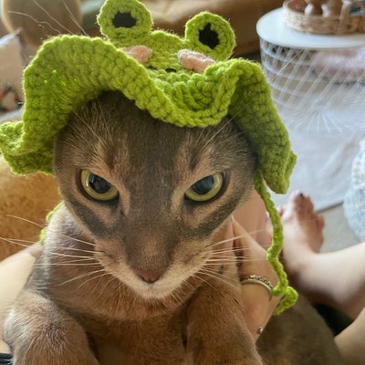 Adjustable Cute Crochet Soft Ribbon Kitten Collar Pet Costume - Etsy