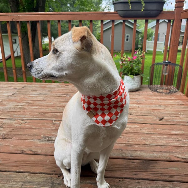 Fil A Dog Bandana | Chicken Nugget Dog Bandana | Chick Dog Bandana ...