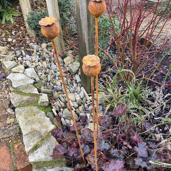 Set of 3 Rusty Poppy Seed Head Pattern Naturally Rusting Ornamental ...